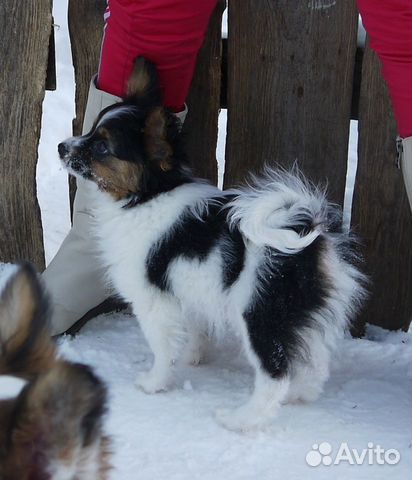 Эфир в продаже