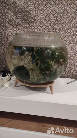 Аквариум с рыбками