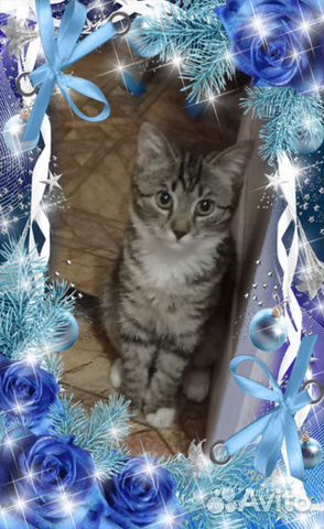 Любовь к Вам вернется