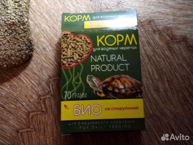 Черепаха красноухая