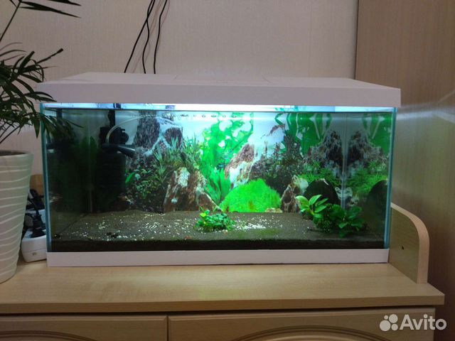 Аквариум Aquael 54 л