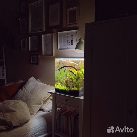 Аквариум 30 л (с обрудованием и растениями)