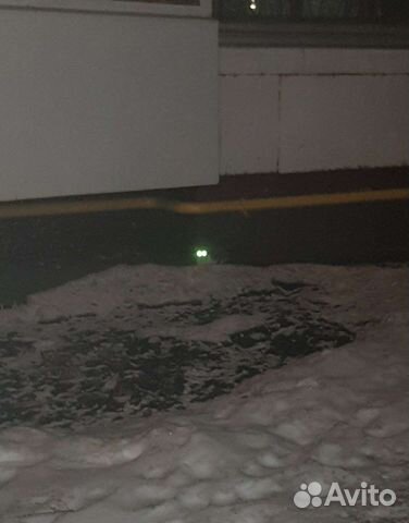 Котики и кошечки в добрые руки