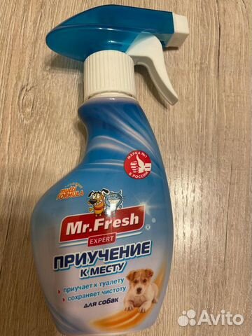 Приучение к месту собак