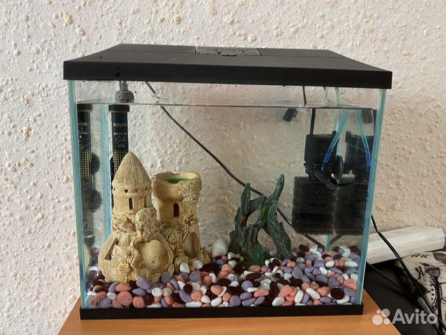 Аквариум с рыбками