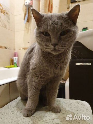 Британская принцесса Алиса ждет