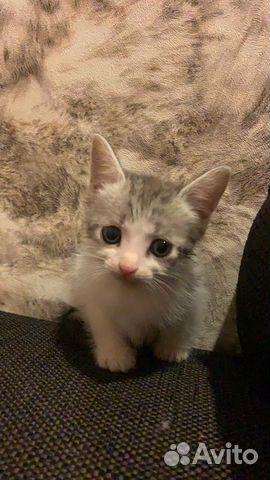 Милая девчушечка ищет семью