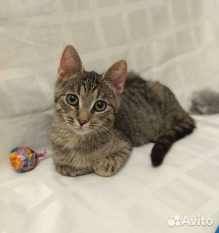 Малышка с изюминкой