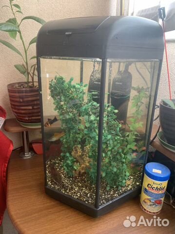 Аквариум шестигранный