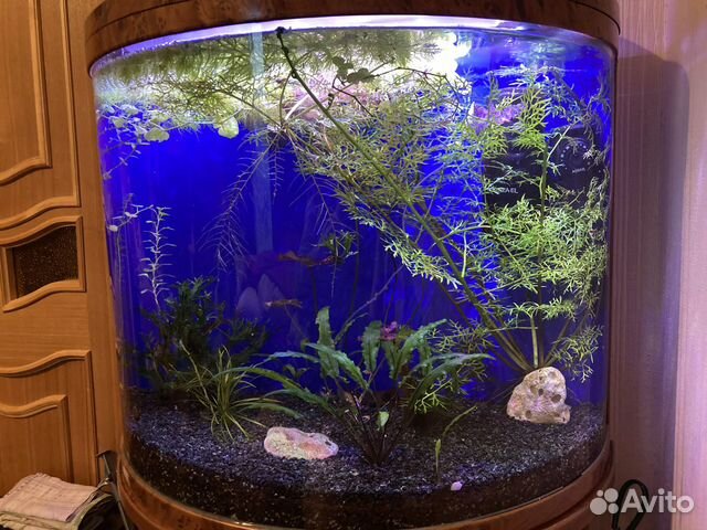 Аквариум Jebo R760 с тумбой