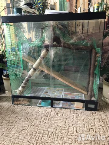 Террариум для рептилий