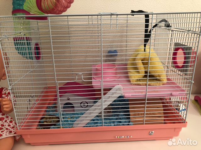 Отдам в добрые руки