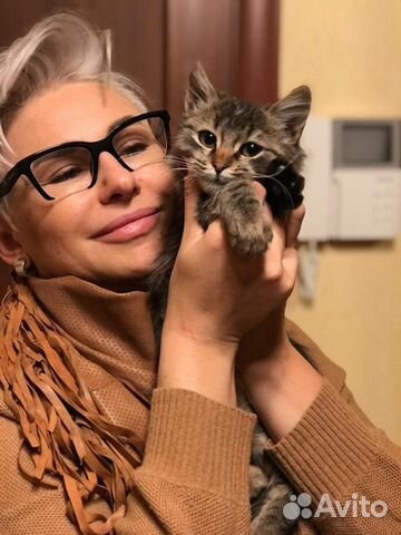Супер котик Марс