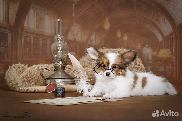 Обоятельный мальчик