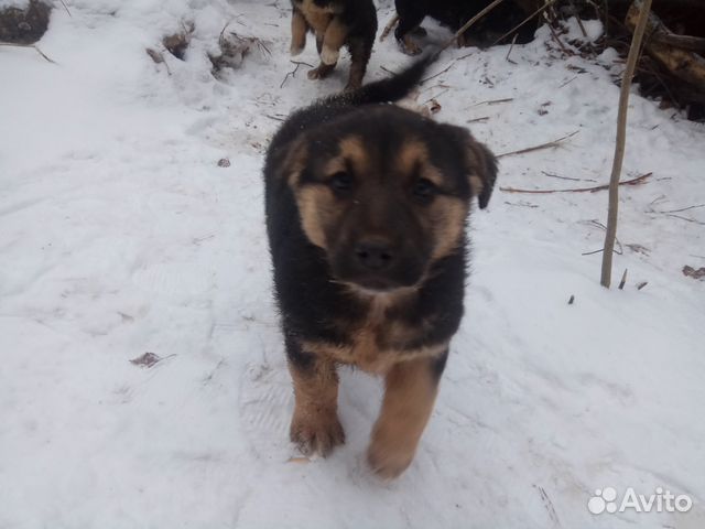 Малышка в добрые руки хороших людей