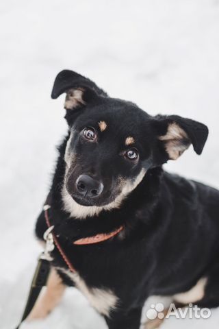 Малышка Мира ищет родителей