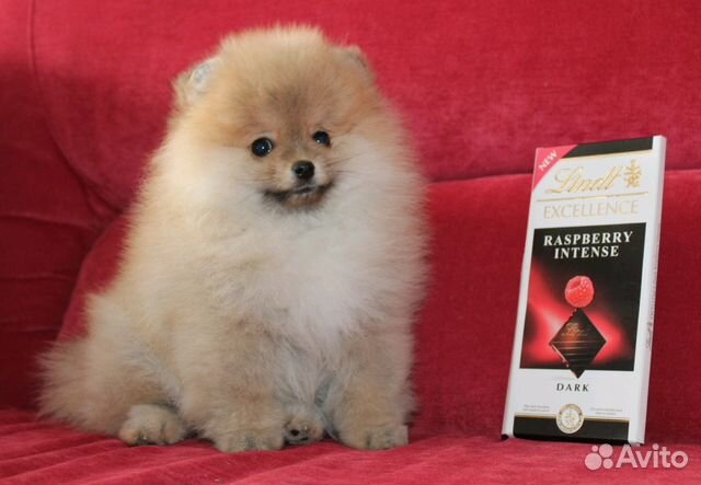 Ваша радость