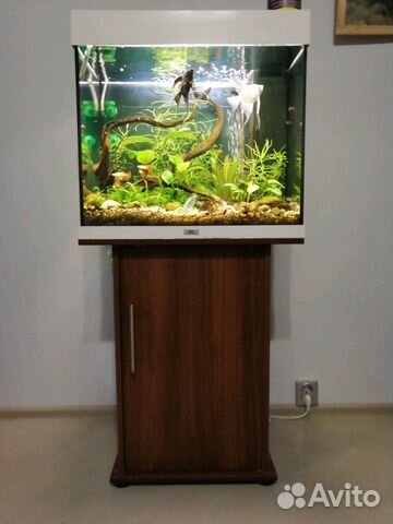 Аквариум