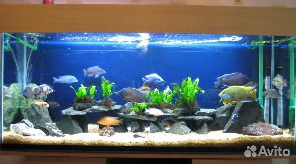 Продам аквариум 240л