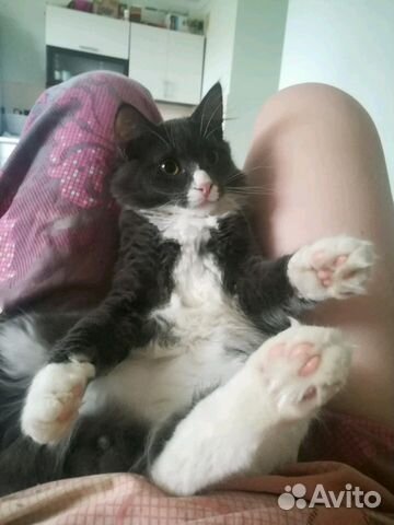 Нежнейший малый