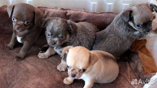 Малыши ждут родителей