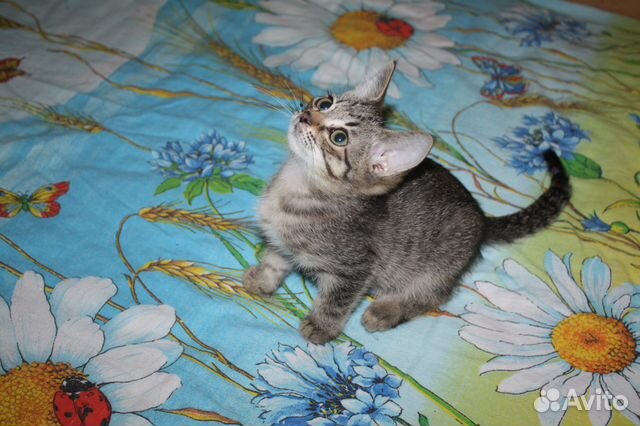 Малышка -девочка