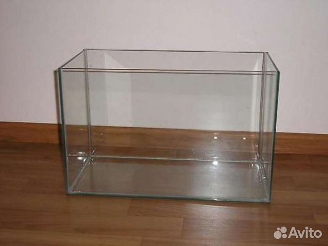 Аквариумные рыбки, растения