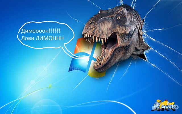 Такса 2.5 года