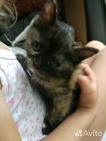 Богатка девочка