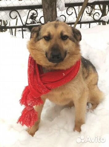 Нежная девочка