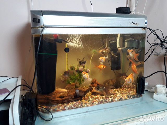 Аквариум Sun Sun