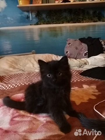 Лучший подарок себе и ребёнку)