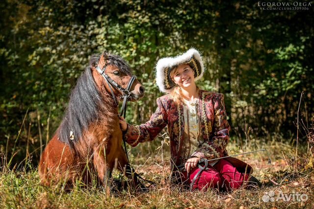 Роскошный мини жеребец