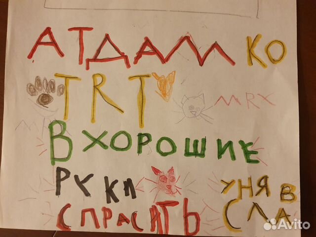 Отдам котят