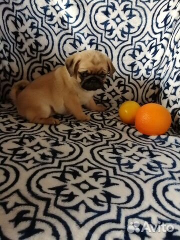 Радость нечаяная