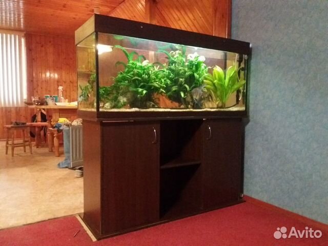 Аквариум ZelAqua 240л