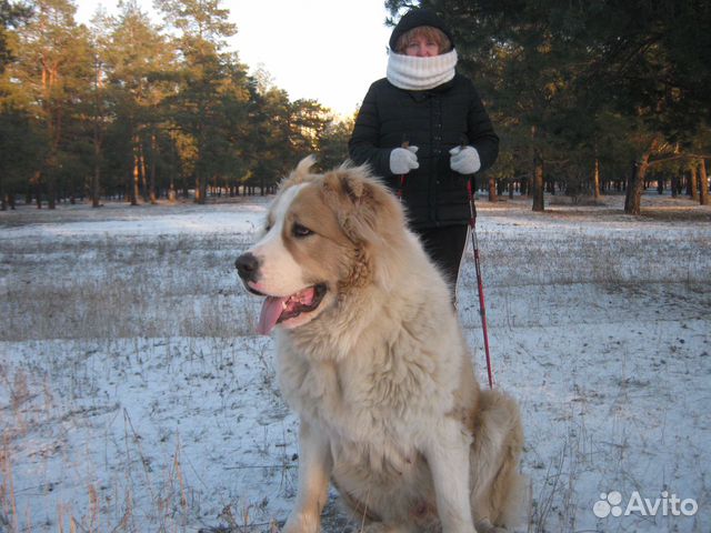 Приглашаем на вязку
