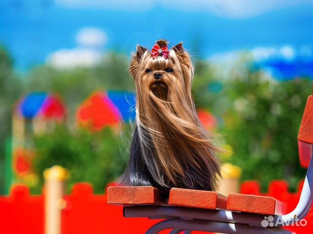 Мини, супер бэби фейс девочка