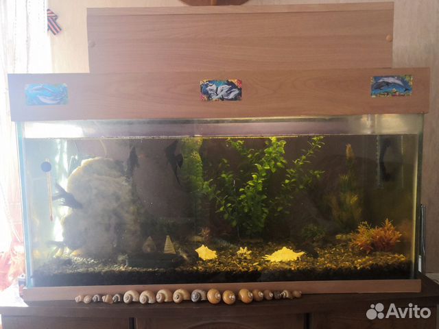 Аквариум с рыбками