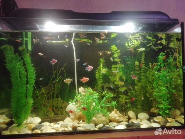 Аквариум