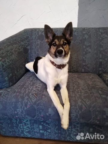 Варенька - скромная девочка