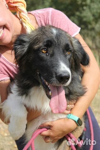 Дайте Рону шанс обрести семью