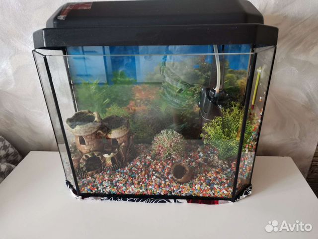 Аквариум. Украшение для аквариума