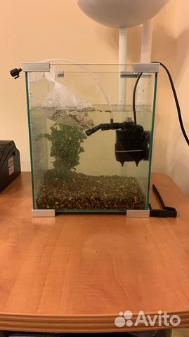 Аквариум (без рыбок) + все оборудование
