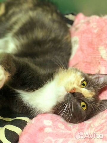 Дуся, 6 месяцев