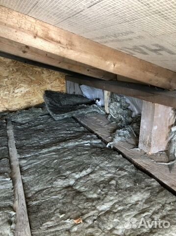 SOS кошки, котята