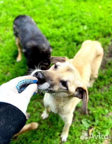 Бакс боится умереть никому не нужным в приюте