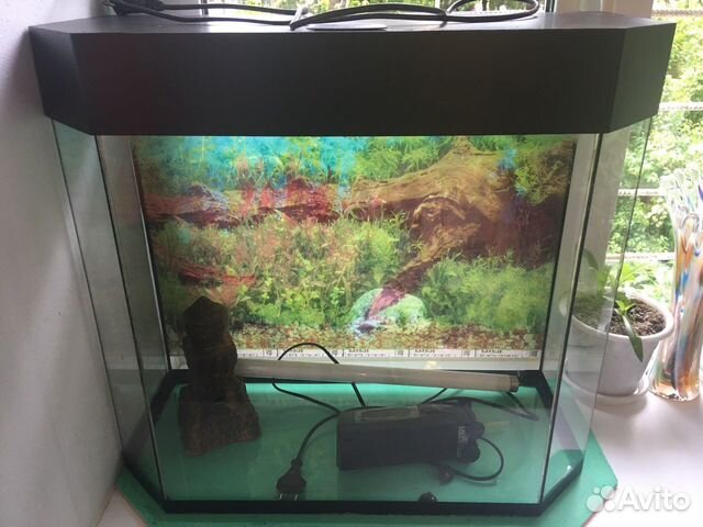 Аквариум