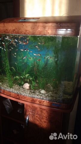 Аквариум с тумбой jebo 362