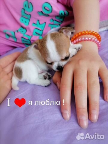 Мальчик с пальчик